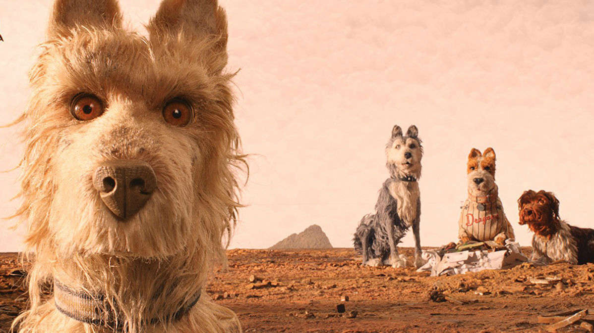 Las 5 mejores películas para celebrar el día del perro