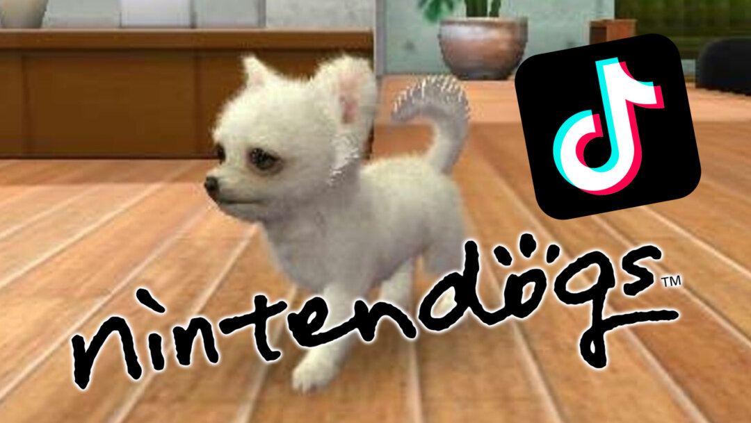 El apreciado Nintendogs hace que este tiktoker se vuelva viral de la ...