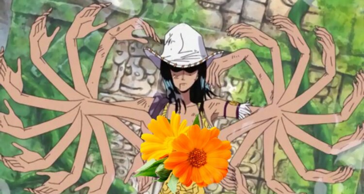 One Piece: 8 curiosidades sobre Nico Robin que quizás no sabías