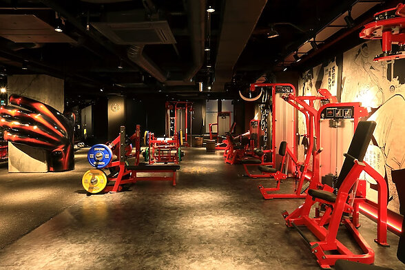Este gimnasio oficial de One Piece es el sueño de todo nakama