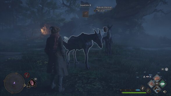 Hogwarts Legacy: How To Capture All Animals And What Ingredients They Give