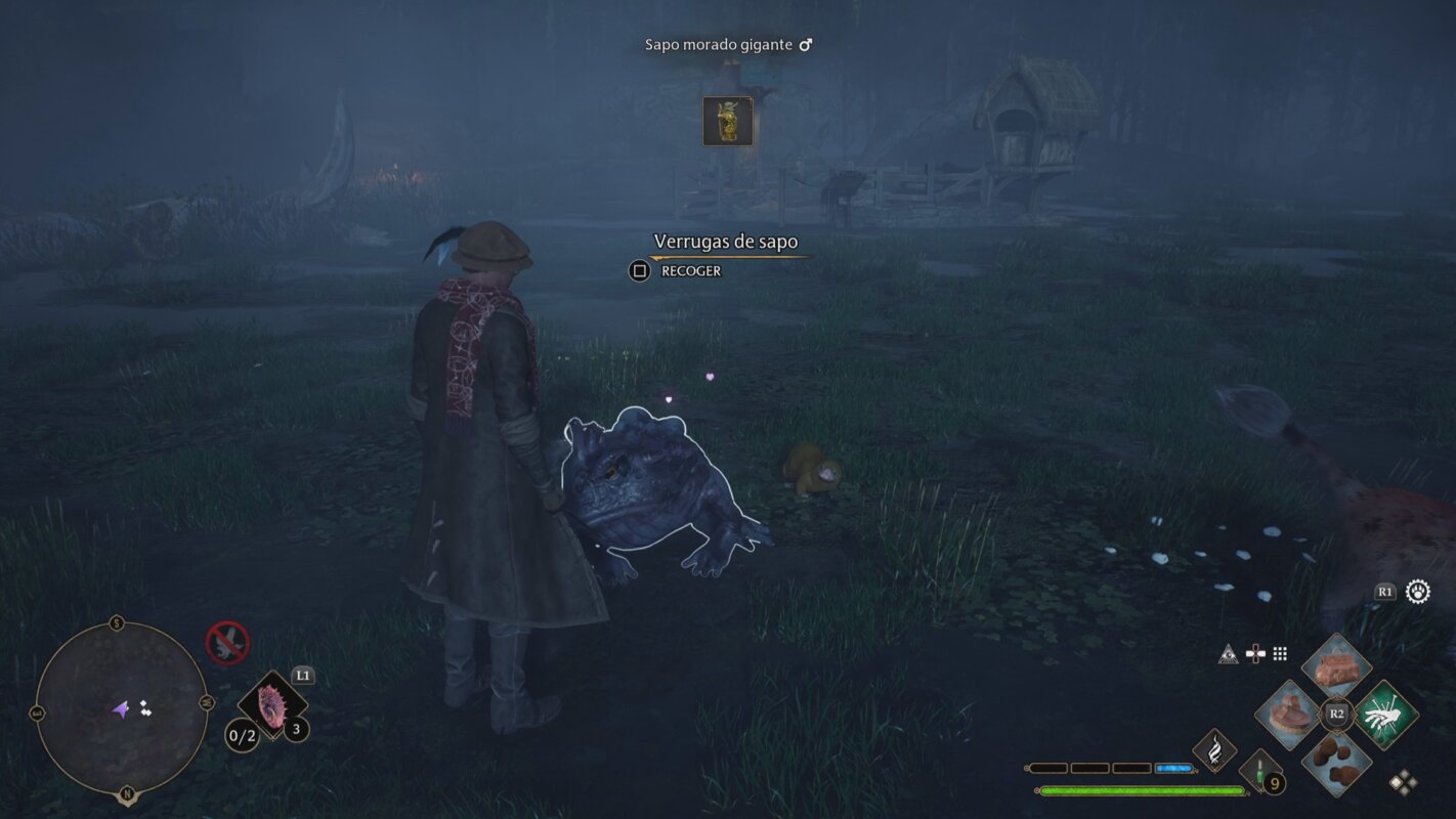 Hogwarts Legacy: How To Capture All Animals And What Ingredients They Give