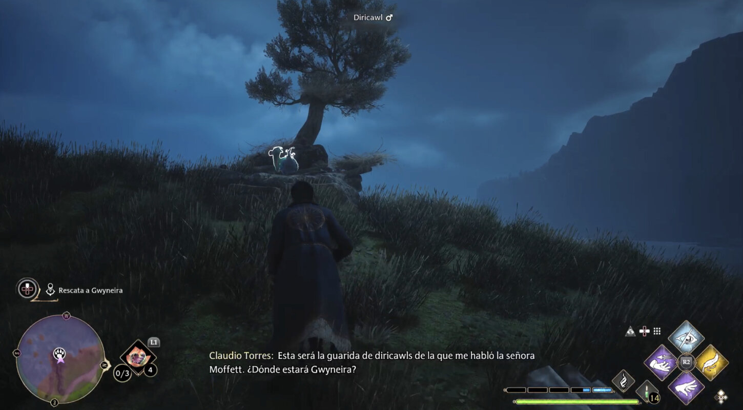 Hogwarts Legacy: Cómo completar la misión 'A cada pájaro le gusta su nido'