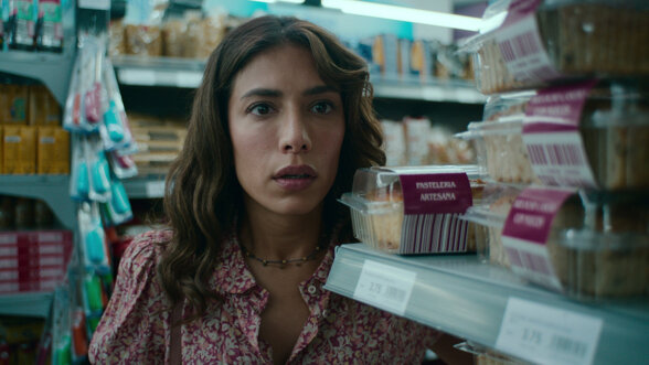 Temporada 2 de ¿Quién es Erin Carter? en Netflix: Estado de renovación ...