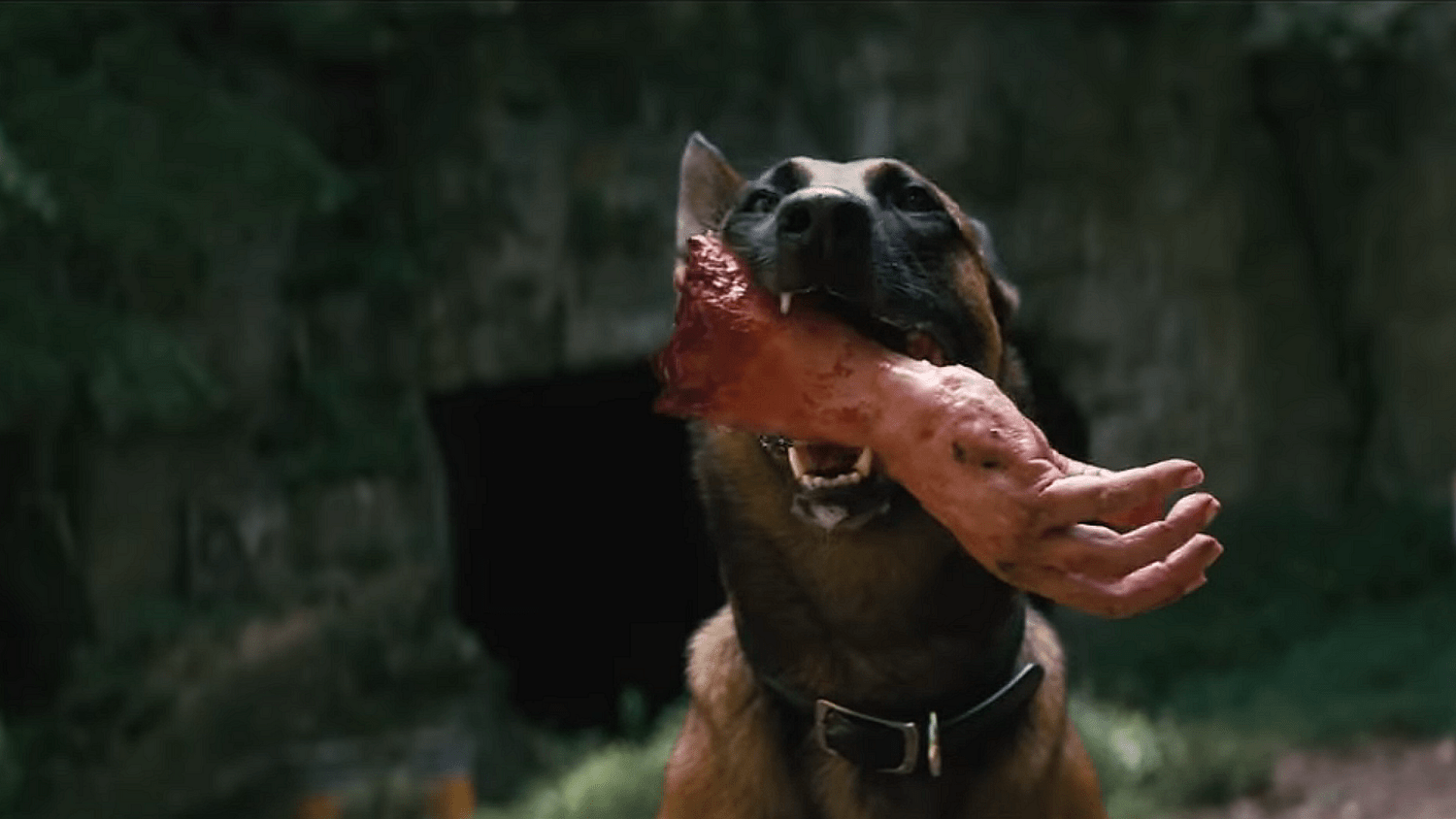 Guía de personajes de 'Fallout': quién es quién en la nueva serie de ...